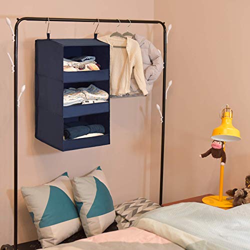 GRANNY SAYS Bundle of 1-Pack Closet Hanging Organizer & 1-Pack Hanging Organizer for Closet