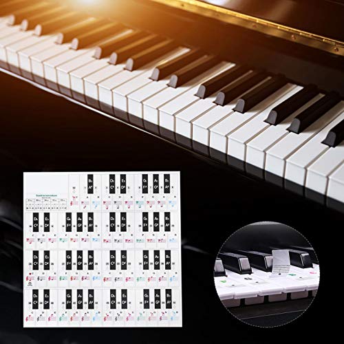 Keyboard or Piano Stickers, Really Useful Piano Poster Environmentally Friendly Transparent Piano Key Stickers for Piano Beginner(T to 31WM)