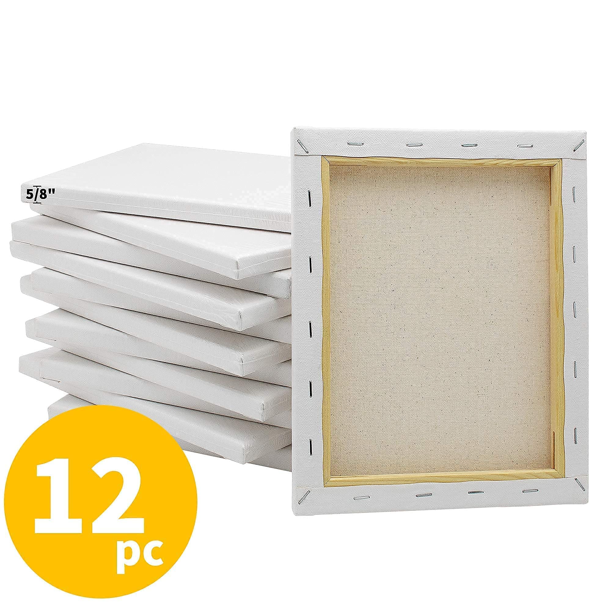 FIXSMITH 8 X 10 Inch White Stretched Canvases 12 Pack & Artist Quality Acrylic Paint Set, 12 Colors/Tubes (12 ml/0.41 oz.)