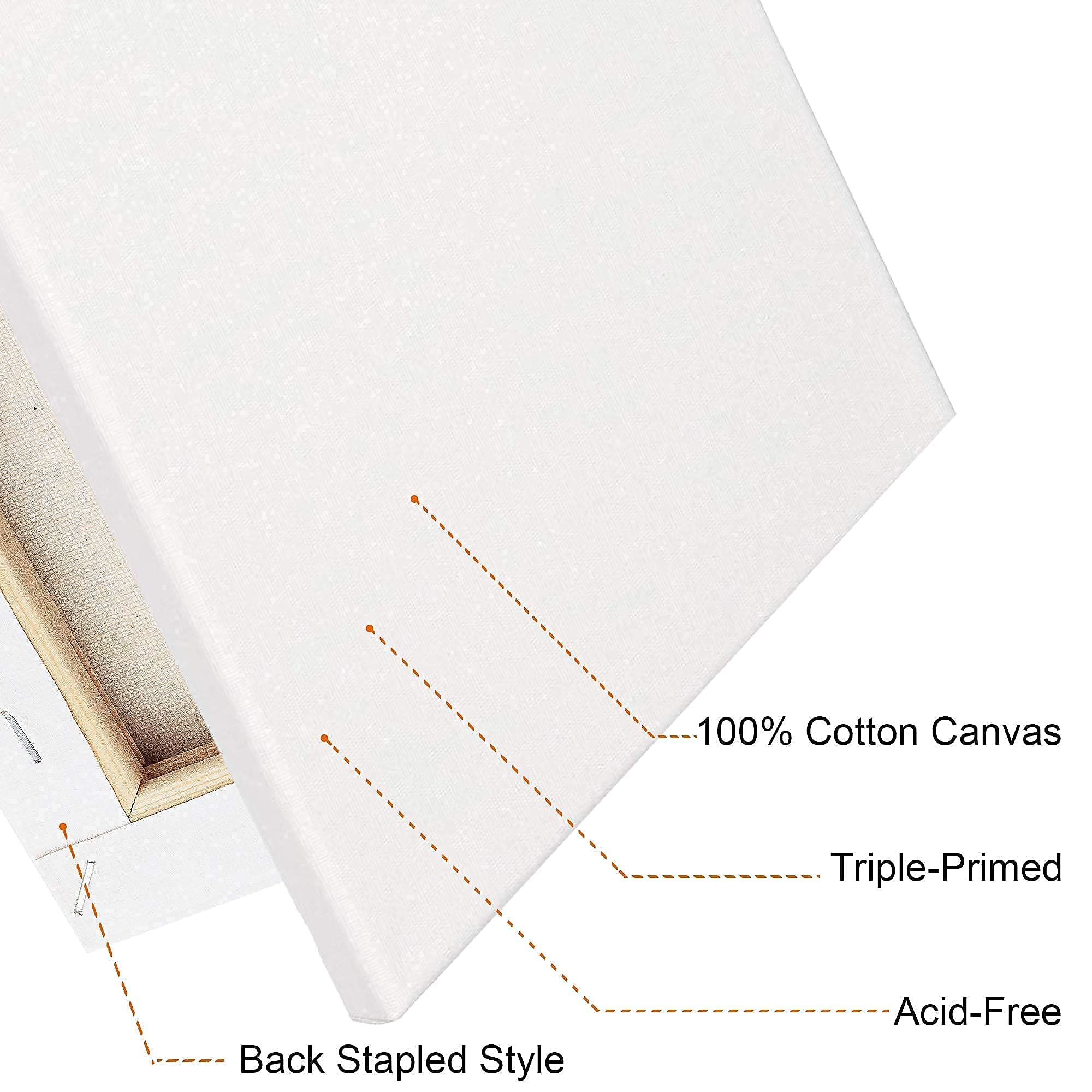 FIXSMITH 8 X 10 Inch White Stretched Canvases 12 Pack & Artist Quality Acrylic Paint Set, 12 Colors/Tubes (12 ml/0.41 oz.)