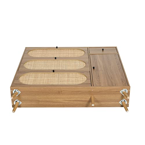 Henf Rattan Shoe Cabinet, Modern Shoe Cabinet Rack with 3 Flip Drawers and Storage Cabinet, Freestanding Shoe Rack Storage Organizer Narrow Shoe Cabinet for Entrance Hallway(Walnut)