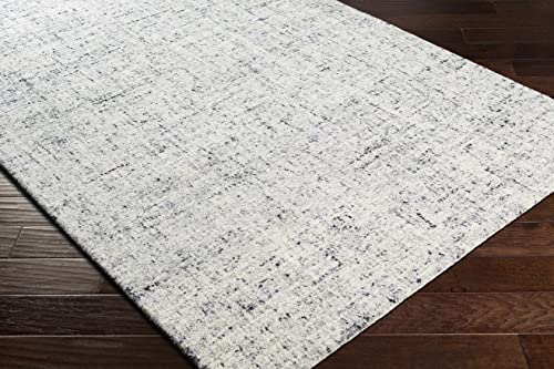 Hauteloom Tanana Wool Living Room, Bedroom Area Rug - Modern - Beige, Black, Gray - 8' x 10'