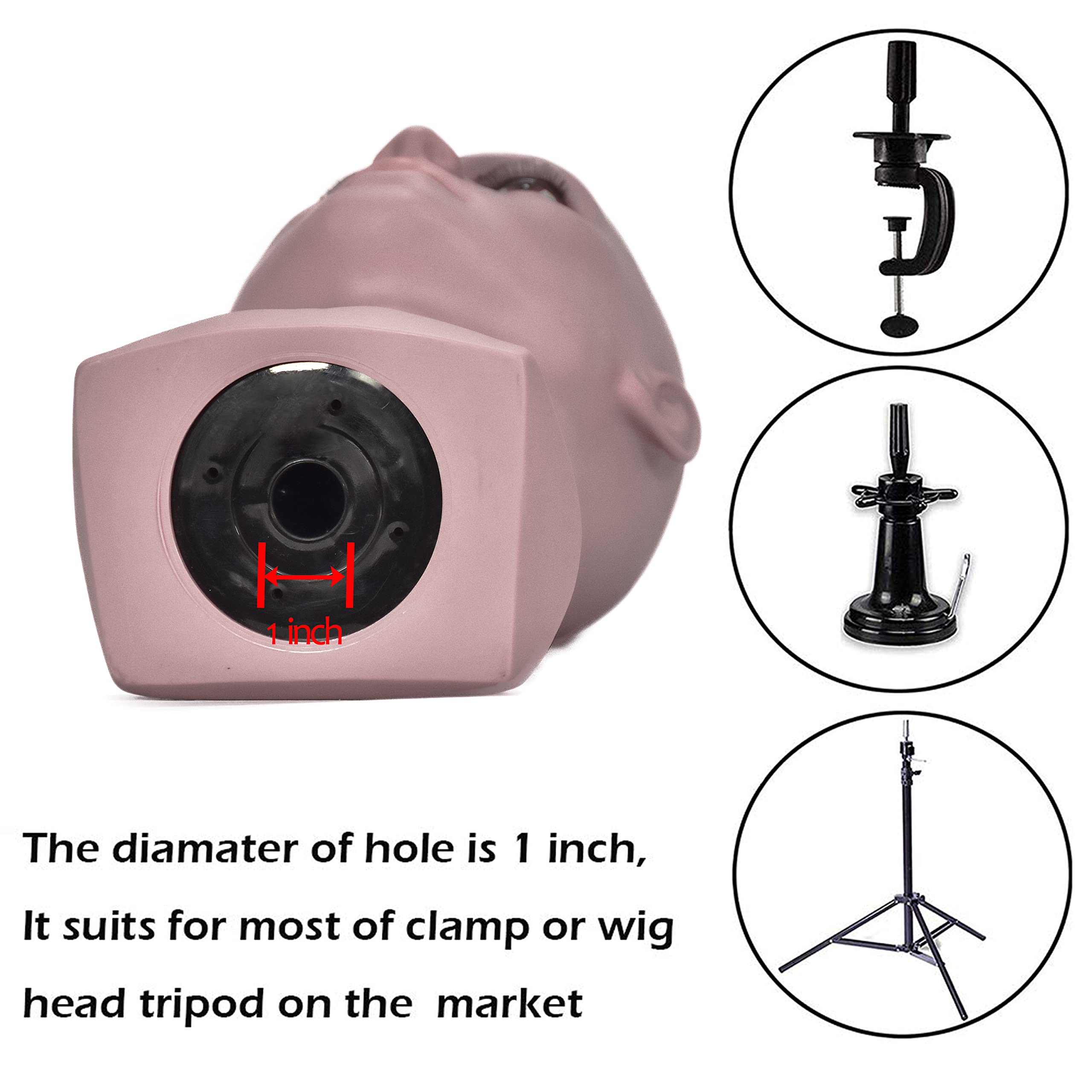ZMS Male Mannequin Head Stand Professional Training Bald Head Manikin Bald Hat Display Wig Training Head ModelClamp(High 33cm, Circumference 57cm)