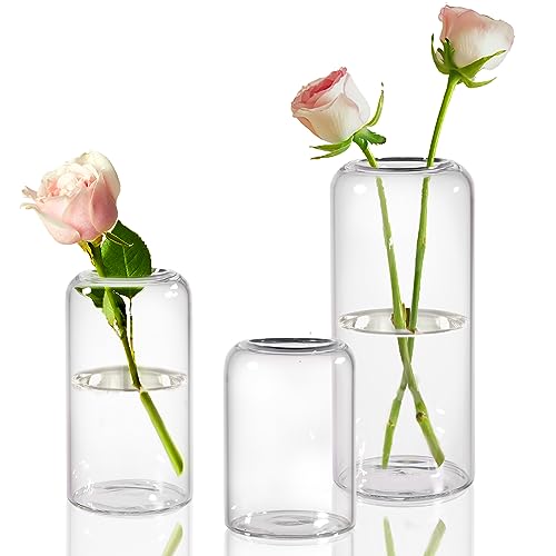 ZENS Bud Vases Set of 3, Modern Small Glass Vases for Flower Clear Bud Vases for Wedding Centerpiece, Blown Thicker Glass Small Vase for Flowers, Wedding Party Events Home Bathroom Decor
