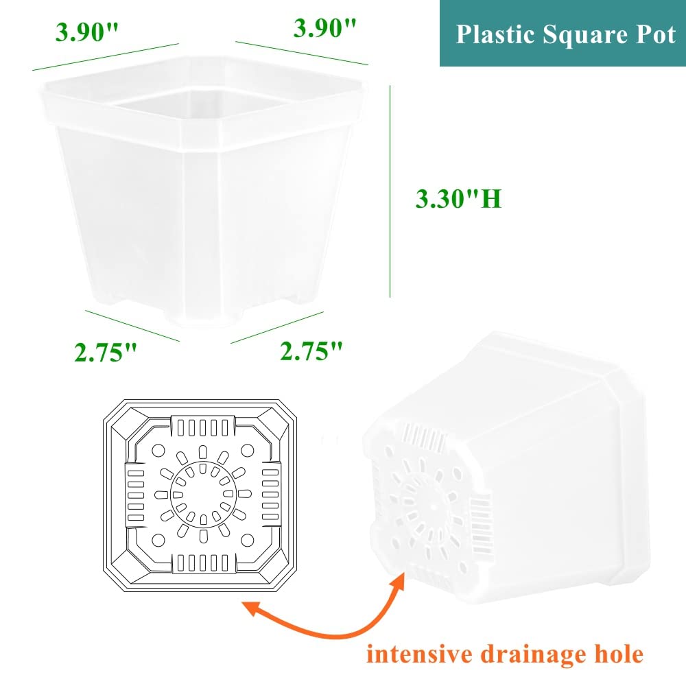 BangQiao 30 Pack Small 3.90 Inch Plastic Square Nursery Pot, Plant Starting and Transplant Planter Container with Drainage Hole for Seed Germination, Clear