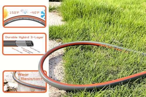 Blütezeit Retractable Garden Hose Reel, 1/2'' x 65FT+6FT Wall Mount Water Hose Reel, 8 Function Hose Nozzle, Any Length Lock, 180° Swivel Bracket, Automatic Slow Rewind System