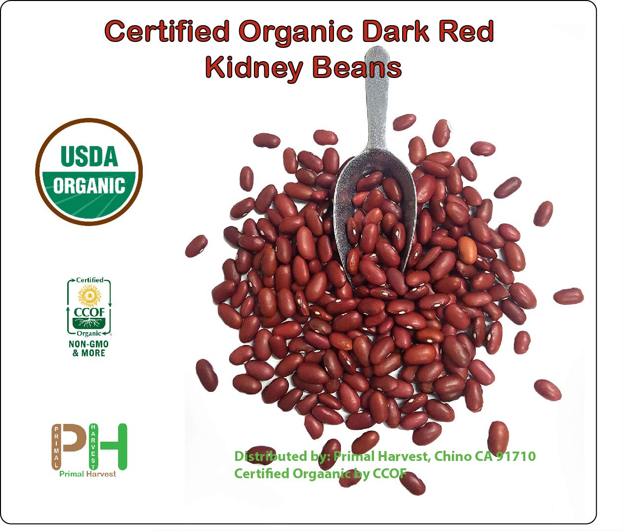 Organic Dark Red Kidney Beans- Fiber & Protein rich, Raw, Non-GMO, Vegan Bulk-2LB