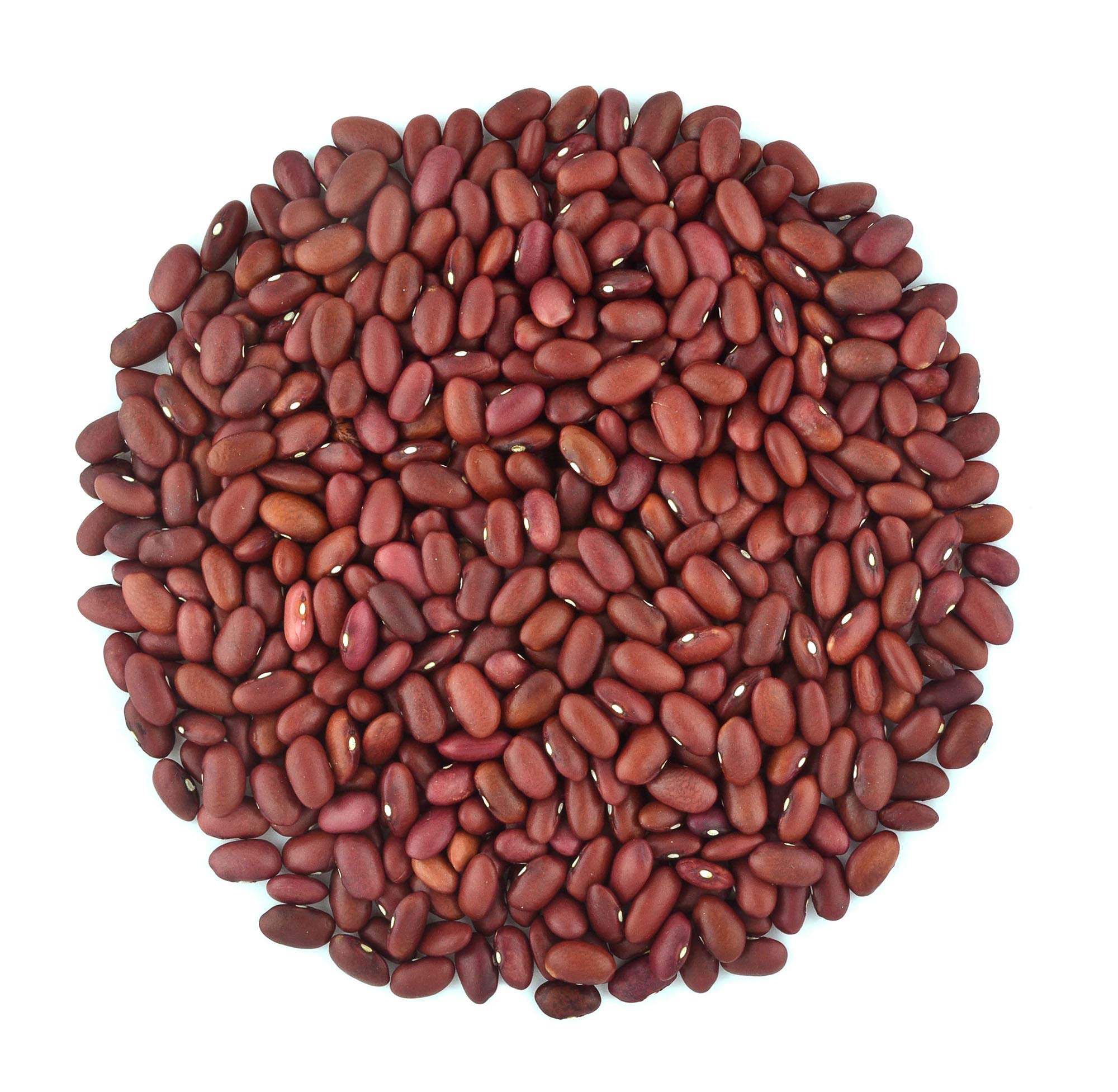 Organic Dark Red Kidney Beans- Fiber & Protein rich, Raw, Non-GMO, Vegan Bulk-2LB