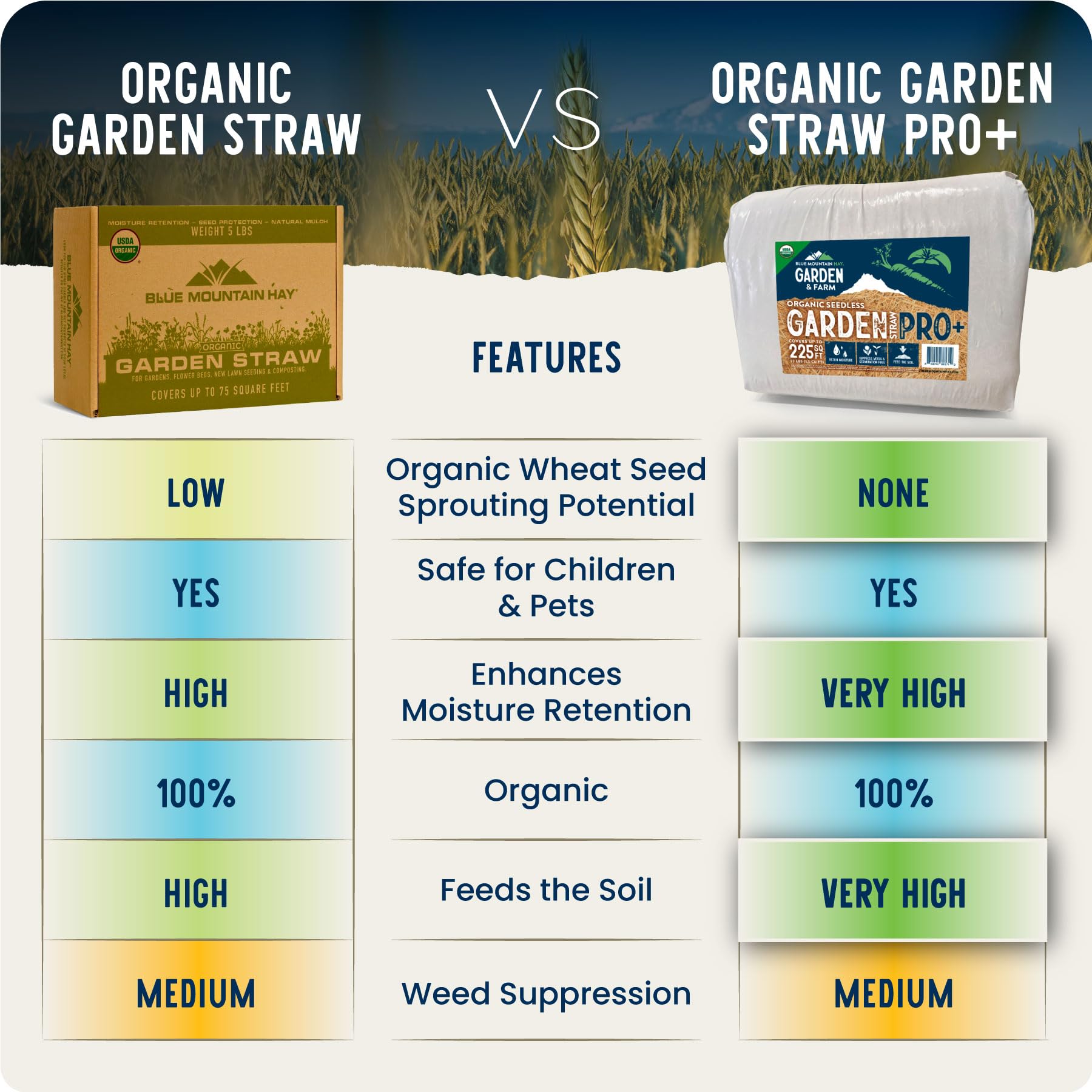 Organic Garden Straw (5lb) | Blue Mountain Hay | Straw Mulch for Raised Bed Gardens, Yard Landscaping, New Lawn Grass Seed Plantings, Tomato & Vegetable Mulch | Covers up to 75 sq ft