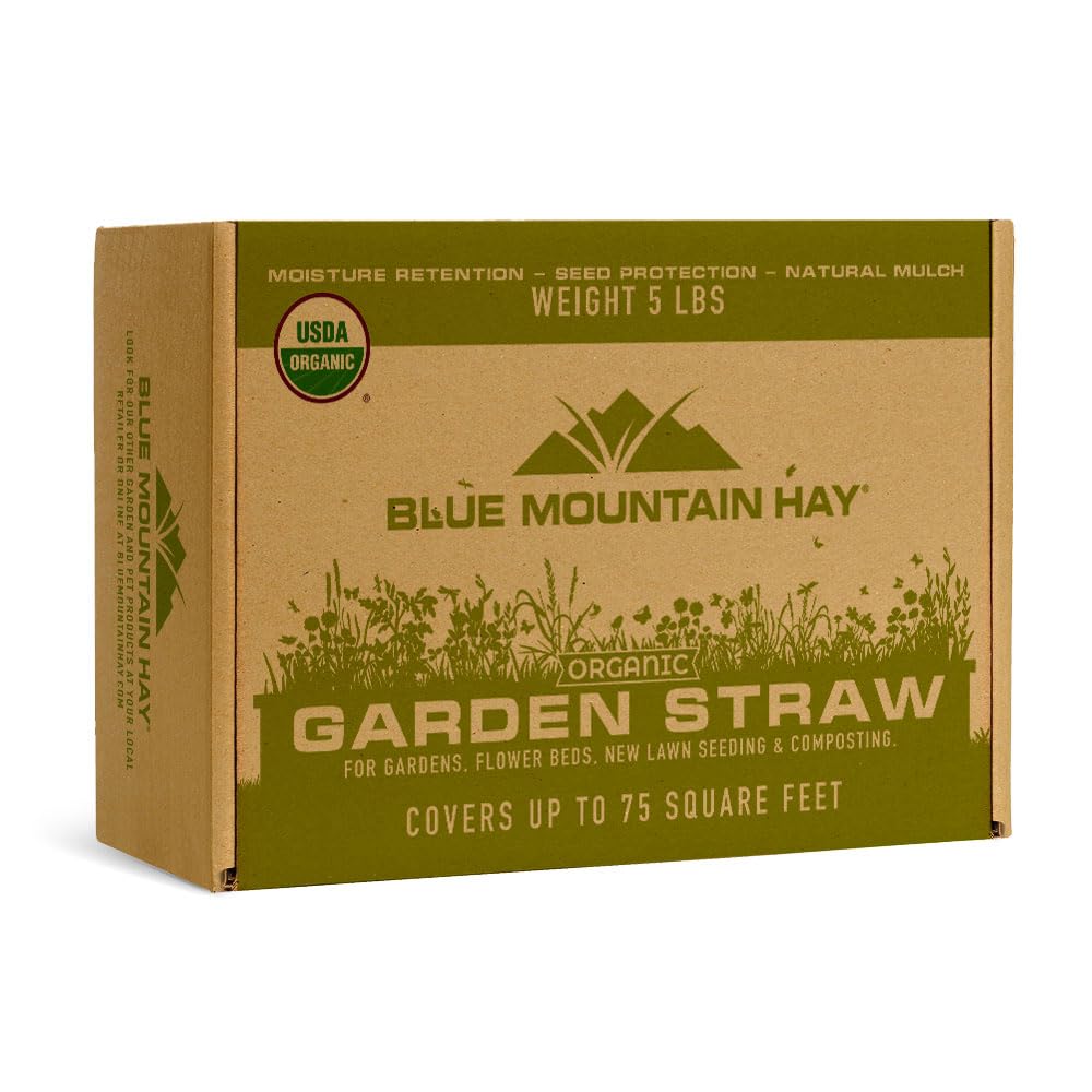 Organic Garden Straw (5lb) | Blue Mountain Hay | Straw Mulch for Raised Bed Gardens, Yard Landscaping, New Lawn Grass Seed Plantings, Tomato & Vegetable Mulch | Covers up to 75 sq ft