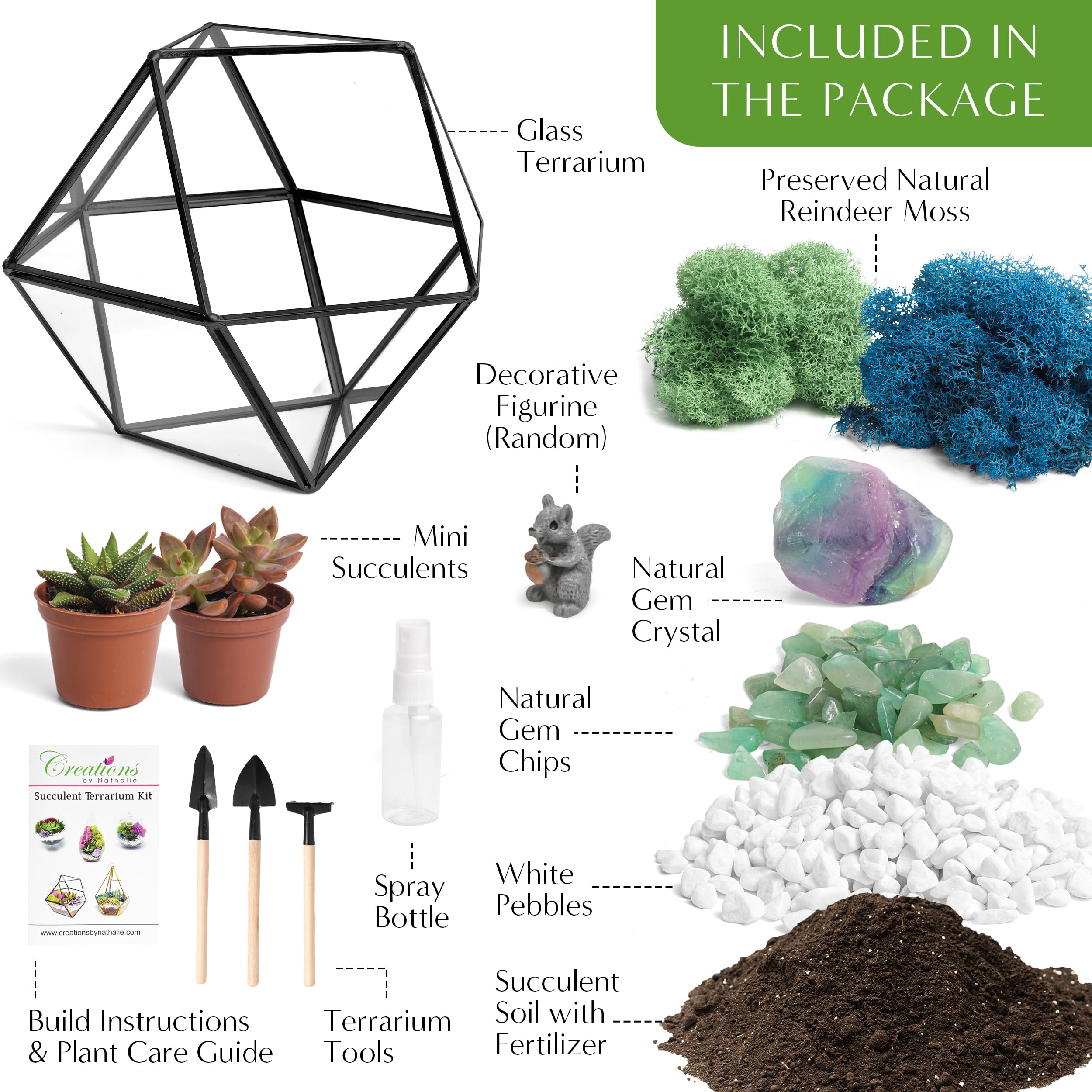 7” DIY Succulent Terrarium Kit with Live Plants, Decorative Rocks, Moss, Healing Crystals, Figurine, Tools & Geometric Glass Terrarium Décor