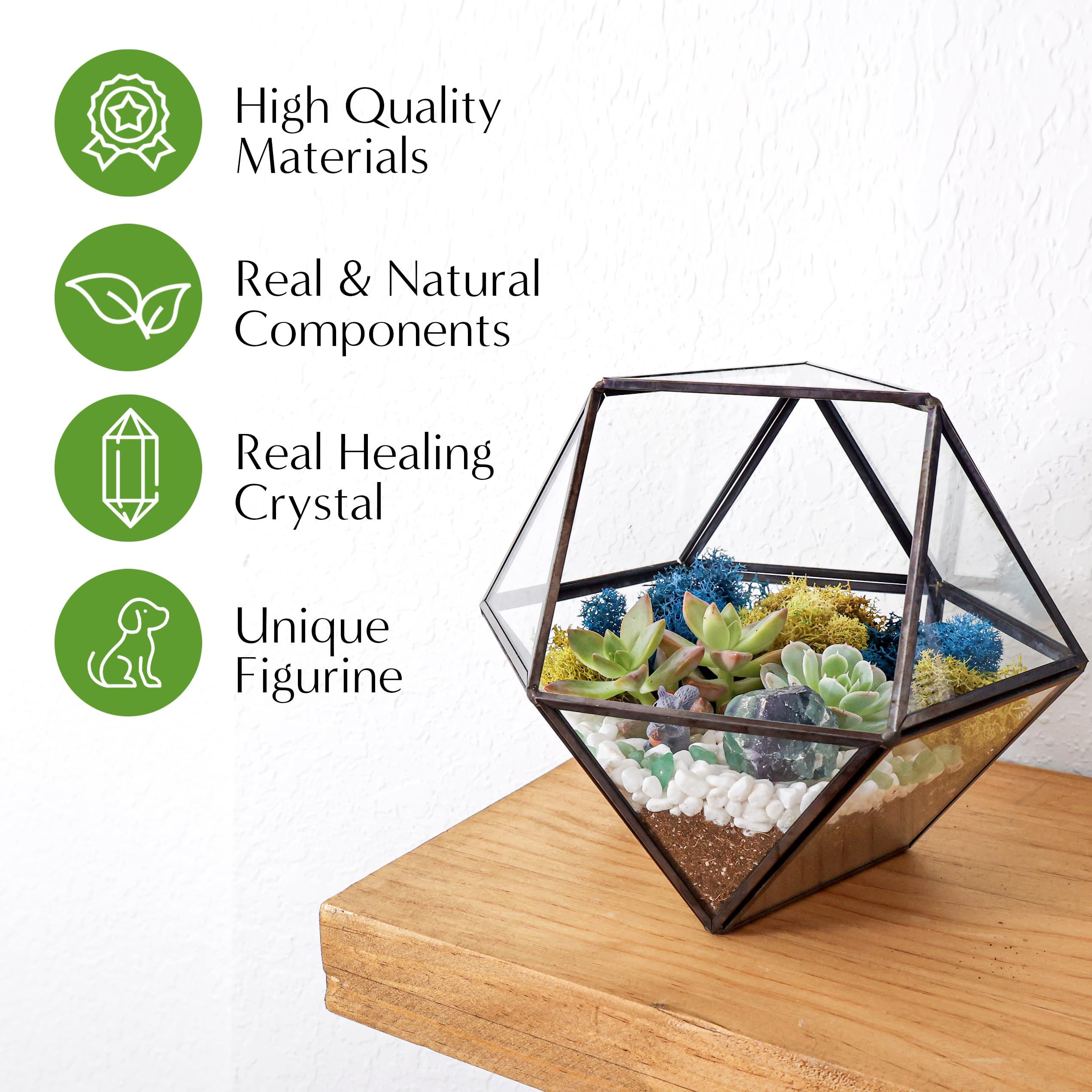 7” DIY Succulent Terrarium Kit with Live Plants, Decorative Rocks, Moss, Healing Crystals, Figurine, Tools & Geometric Glass Terrarium Décor