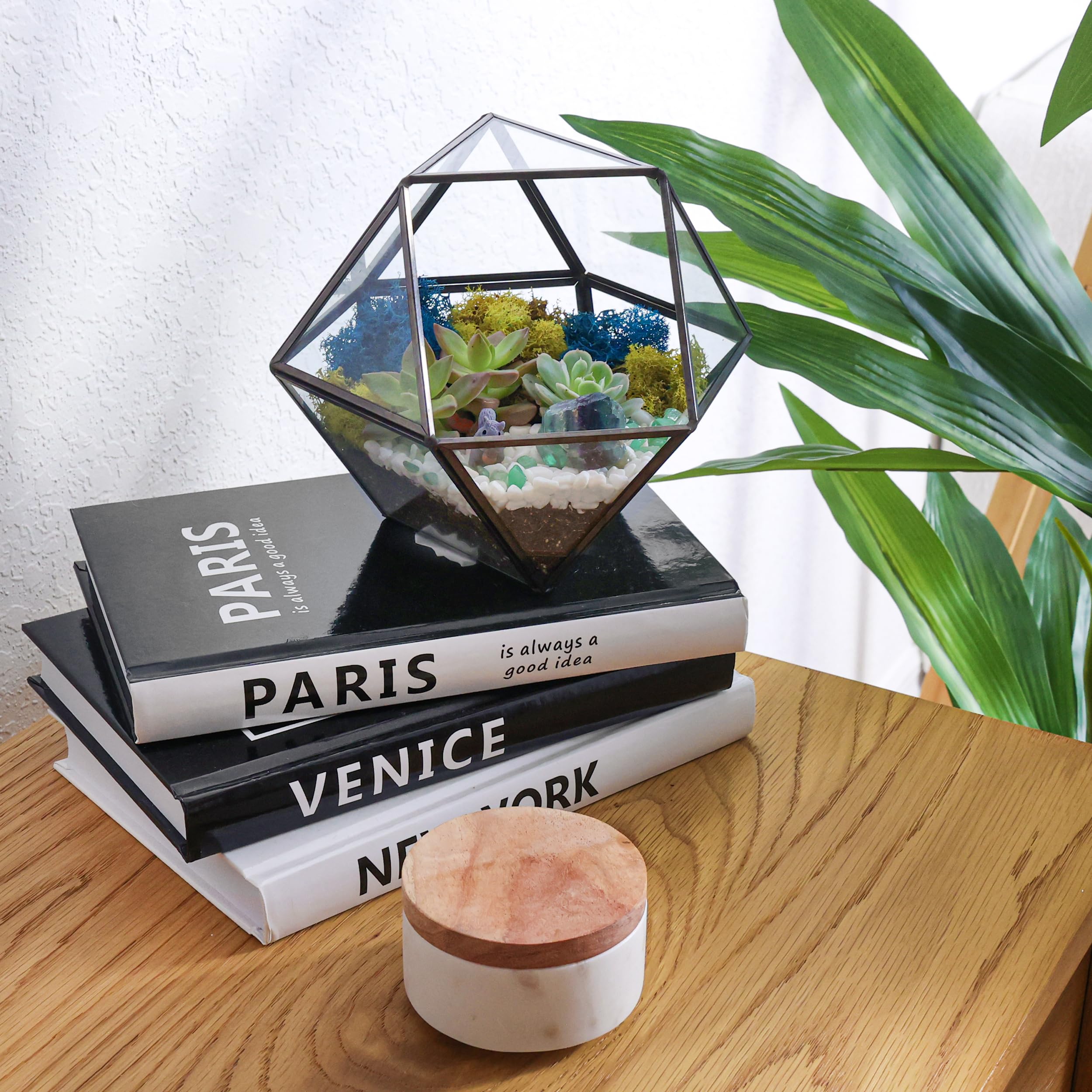 7” DIY Succulent Terrarium Kit with Live Plants, Decorative Rocks, Moss, Healing Crystals, Figurine, Tools & Geometric Glass Terrarium Décor