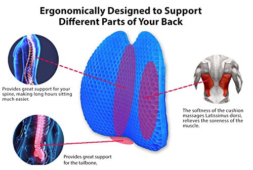 LunaBox Dense Lumbar Pillow - Ergonomic Patented Multi-Region Back Support for Lower Back Pain Tailbone Relief, Lumbar Support Cushion w/Strap for Home, Office Chair and Sofa - Black
