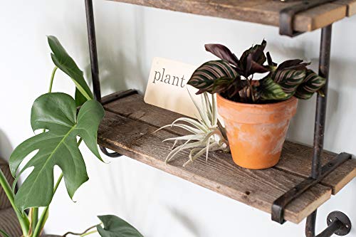 BarnwoodUSA Rustic Wooden Shelf with 2 Planks, Farmhouse Wall Ledge, Natural Weathered Gray