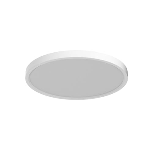 12 Inch 24W Dimmable LED Flush Mount Ceiling Light Fixture with Remote Control, 2800K-6500K Color Changeable, 10%-100% Brightness Adjustable, Flat Modern Round Ceiling Lamp Lights for Bedrooms.etc.