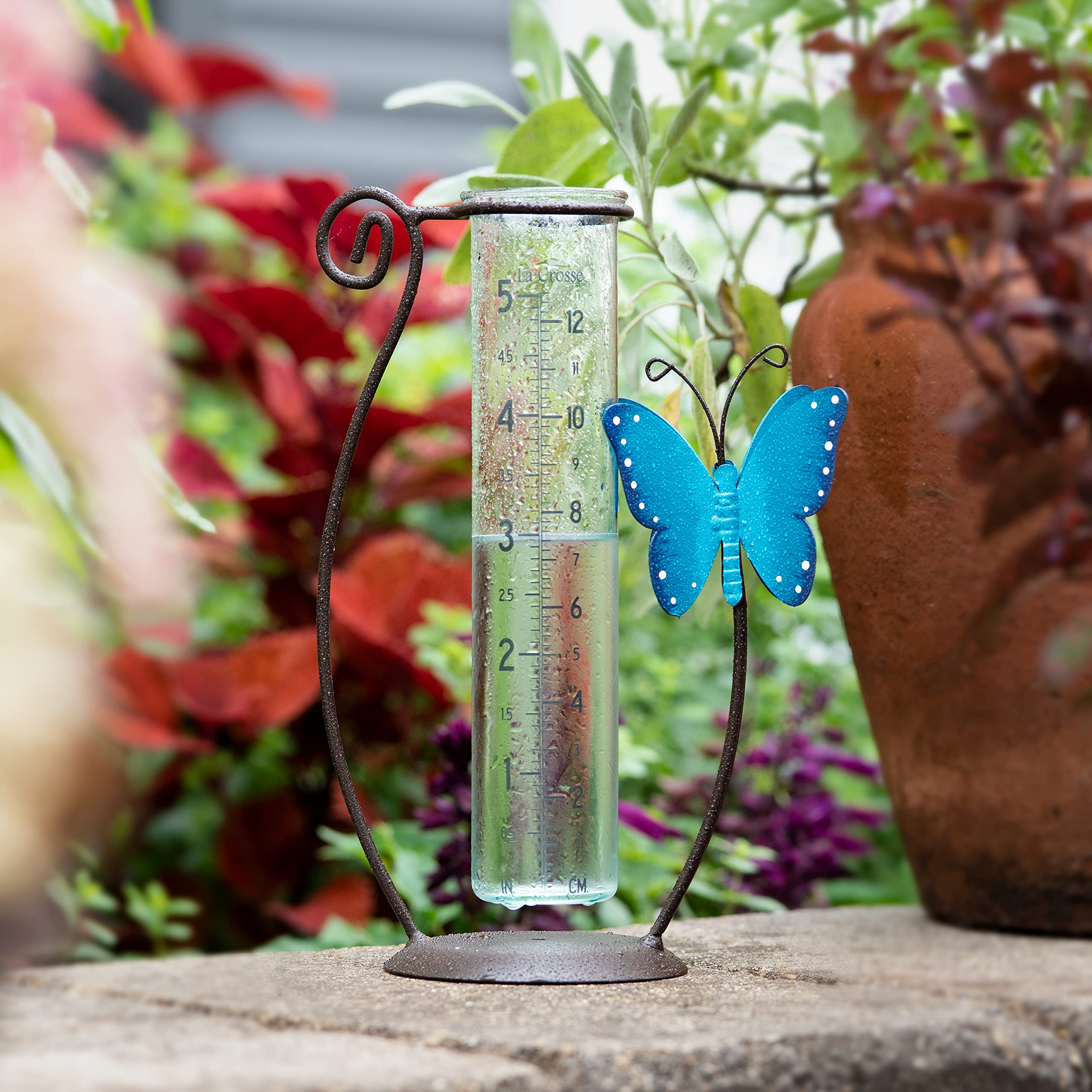 La Crosse 704-71077-INT 5 inch Capacity Glass Blue Butterfly Rain Gauge