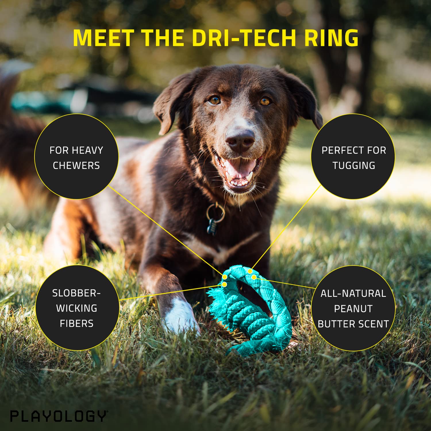 Playology Dri-Tech Ring Peanut Butter Dog Toy Large