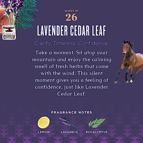Caldrea Dish Soap, Biodegradable Dishwashing Liquid made with Soap Bark and Aloe Vera, Lavender Cedar Leaf, 16 oz , 3 Pack