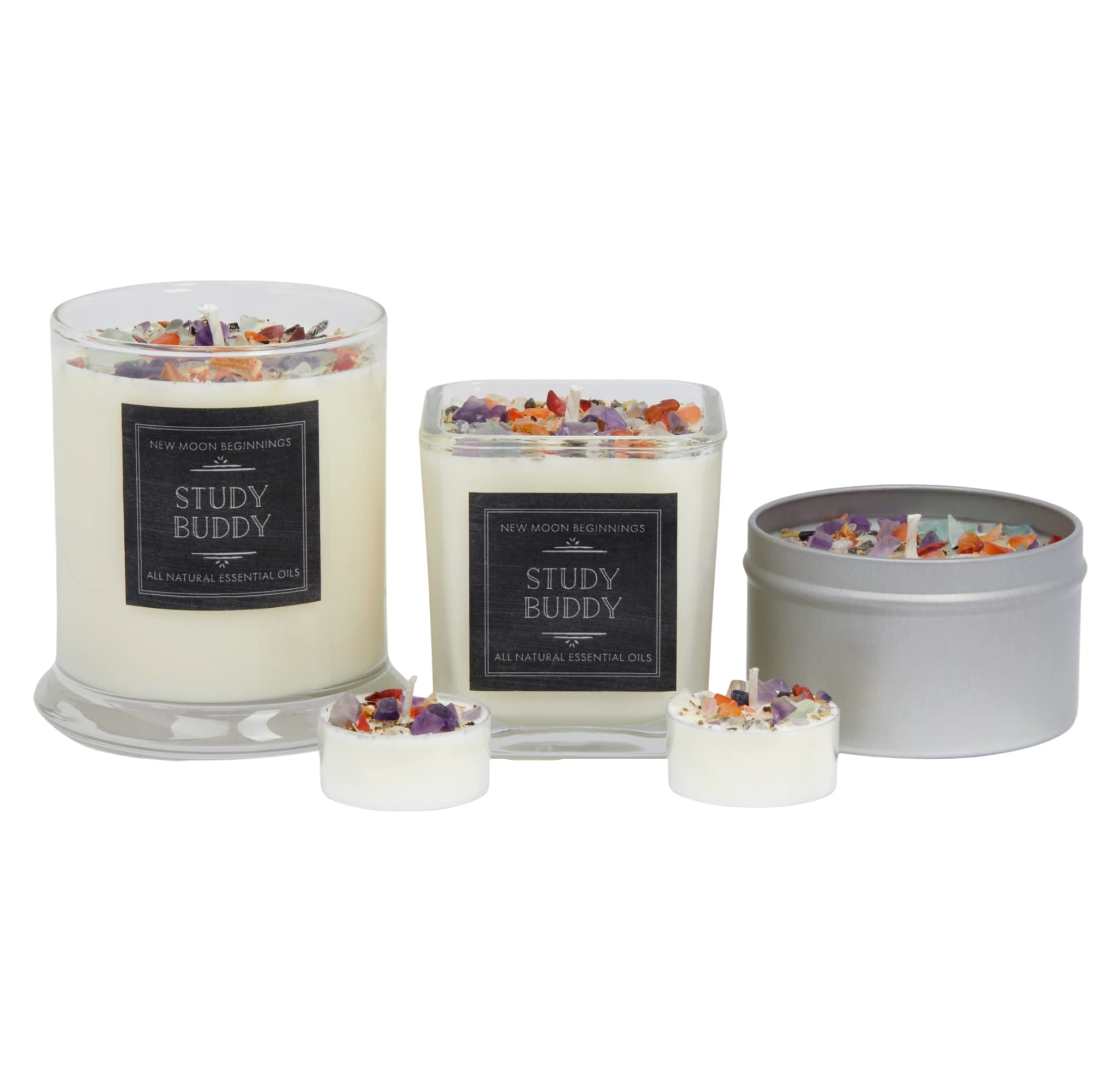 Study Buddy Candles by New Moon Beginnings - Focus, Creativity, & Concentration - Herb & Crystal Candles - Soy Candles - Aromatherapy Candles - 8oz Tin