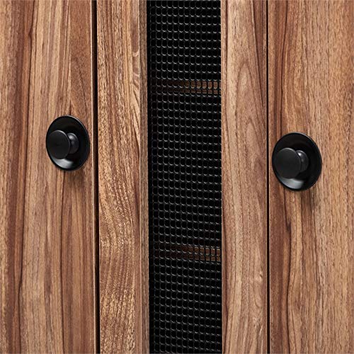 Baxton Studio Valina 2-Door Wood Shoe Storage Cabinet with Drawer in Oak-Black
