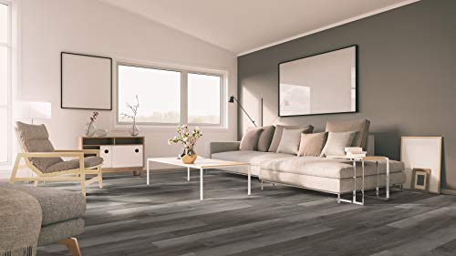 MSI Katalina 6 inch x 48 inch Glue Down Luxury Vinyl Plank Flooring for Pro and DIY Installation 2MM Thick and 6MIL Wear Layer, 36 sq.ft