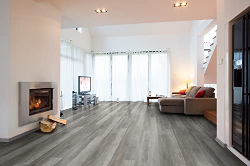 MSI Katalina 6 inch x 48 inch Glue Down Luxury Vinyl Plank Flooring for Pro and DIY Installation 2MM Thick and 6MIL Wear Layer, 36 sq.ft