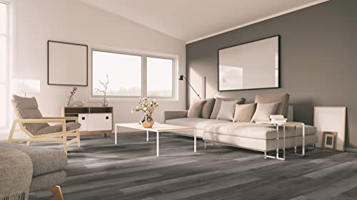 MSI Katalina 6 inch x 48 inch Glue Down Luxury Vinyl Plank Flooring for Pro and DIY Installation 2MM Thick and 6MIL Wear Layer, 36 sq.ft