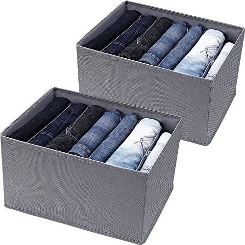 Wardrobe Clothes Organizer for Folded Clothes Made Oxford Cloth, Clothes Storage Organizer Supported by PP board, Closet Organizers and Storage for Clothes,Legging,Dress,Pants(Jeans*2)
