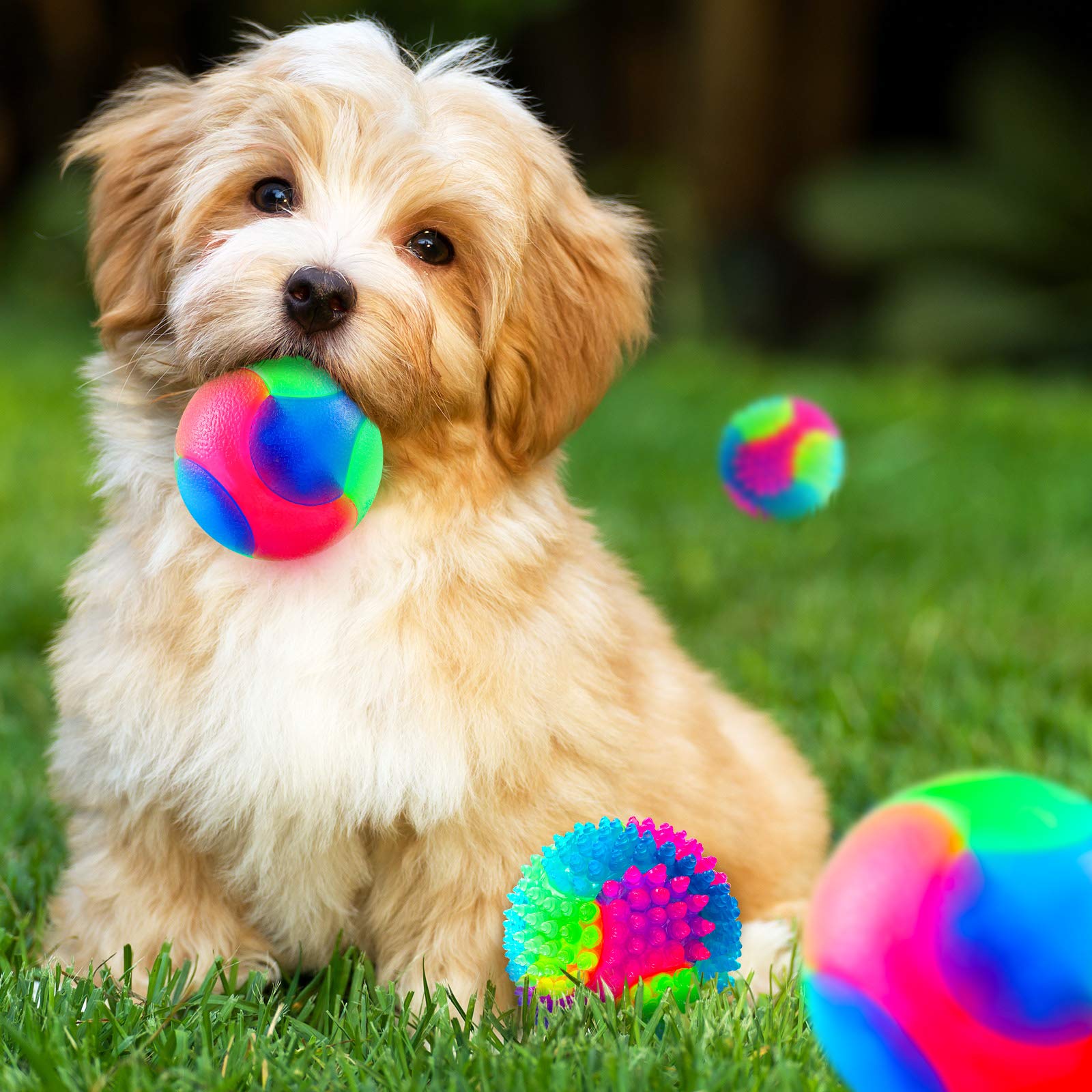 Sumind 4 Pieces Light Up Dog Balls Glowing Elastic LED Flashing Spike Pet Molar Light Color Balls Interactive Pet Toys for Cats Dogs Chewing Playing (2.2 Inch, 2 Styles)