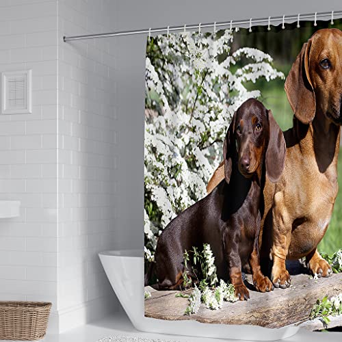 KRISIN Shower Curtain for Bathroom, Dachshund Pattern, Curtain Liner Resistant Resistant Washable Bathroom Curtains, Waterproof, 12 Hooks Bathroom Accessories