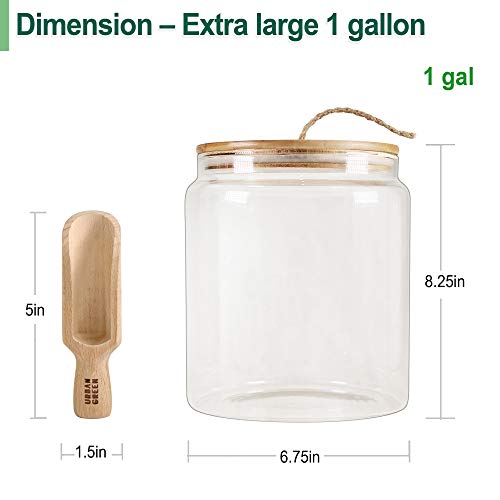 Urban Green Glass Jar with Bamboo Lid, Large Glass Food Storage Jar with Airtight Lid,1 gallon, Large Size Glass Food Storage Container, Flour Container, Kitchen Storage Jars for Candy, Cookie