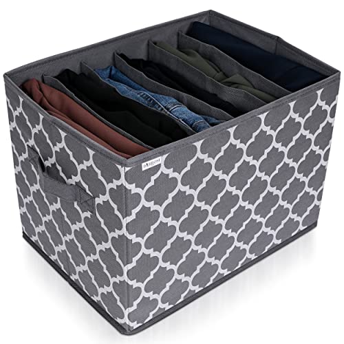 DABROSI Wardrobe Clothes Organizer for Folded Clothes - Pants Organizer - Jean Organizer for Closet (6-grid Large)