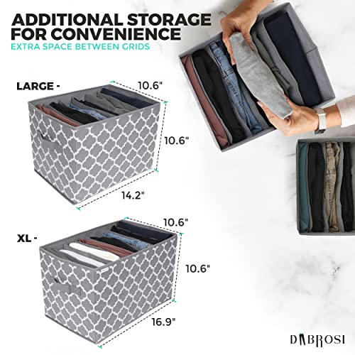 DABROSI Wardrobe Clothes Organizer for Folded Clothes - Pants Organizer - Jean Organizer for Closet (6-grid Large)