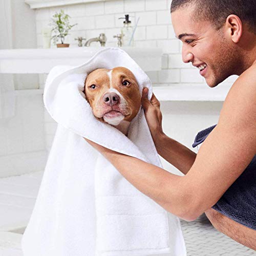 Brooklinen Towel, Luxury Cotton Super Plush Spa Washcloths in White - Set of 2