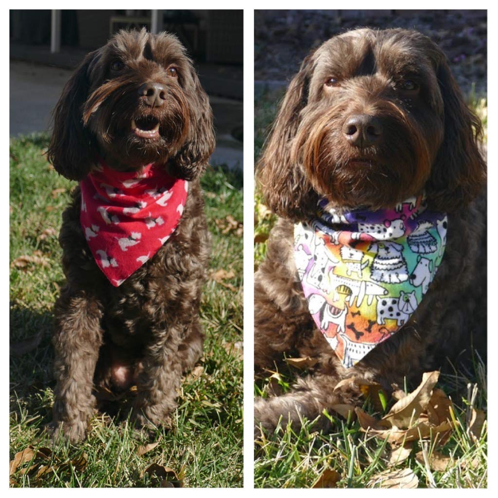 Matching Pleated Face Mask Reversible Puppy Dog Bandana, Cute Grey White Black Cartoon Dog Mutt Red Tongue, Adjustable Snap, Personalized Premium Durable 100% Cotton, Around head elastic fabric ties