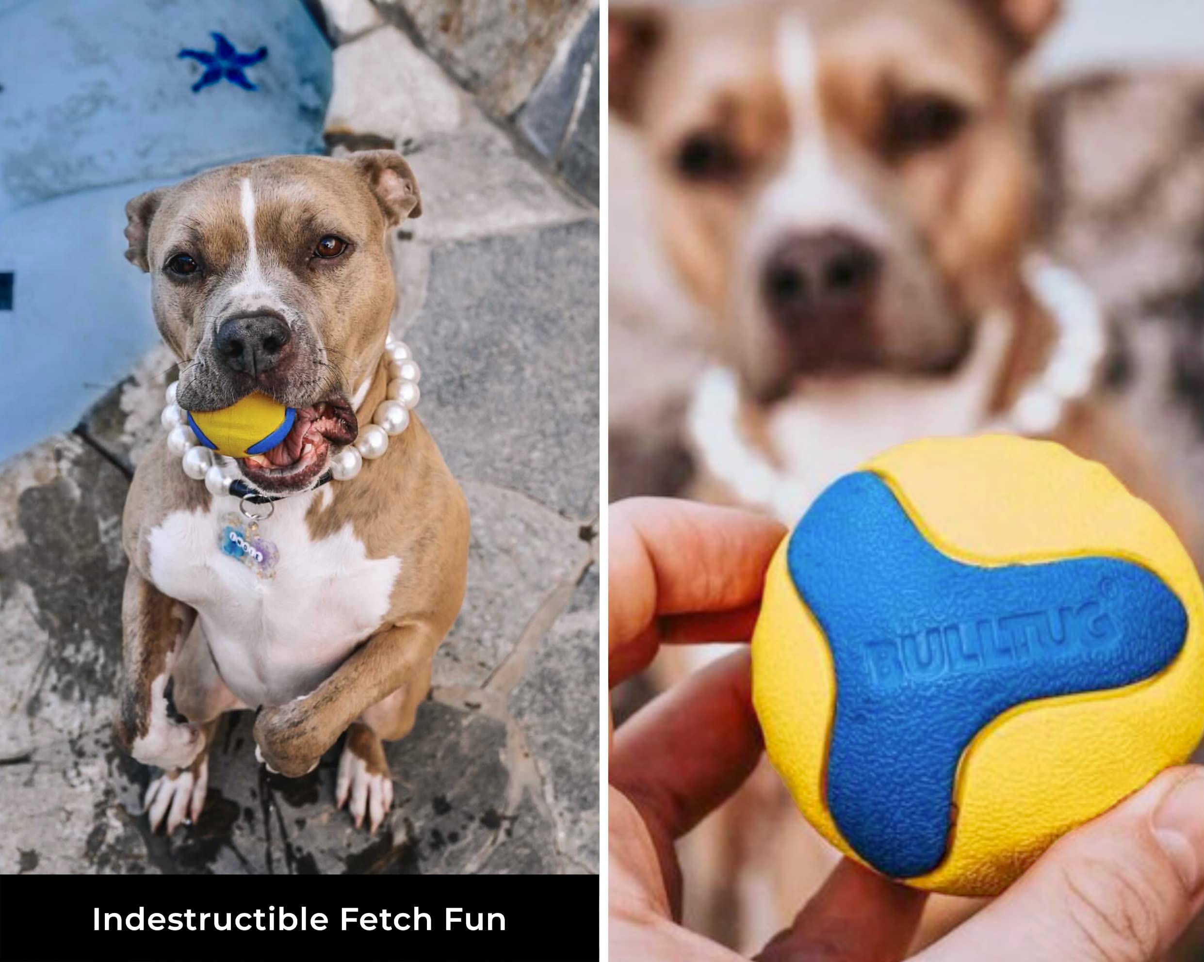 BULLTUG - Chew Ring & Fetch Ball Combo for Aggressive Chewers | Heavy-Duty, Ultra-Durable Natural Rubber, Tough Dog Toys for Medium to Large Breeds