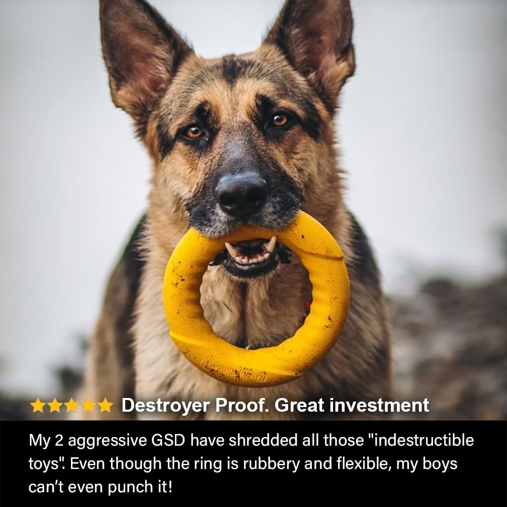 BULLTUG - Chew Ring & Fetch Ball Combo for Aggressive Chewers | Heavy-Duty, Ultra-Durable Natural Rubber, Tough Dog Toys for Medium to Large Breeds