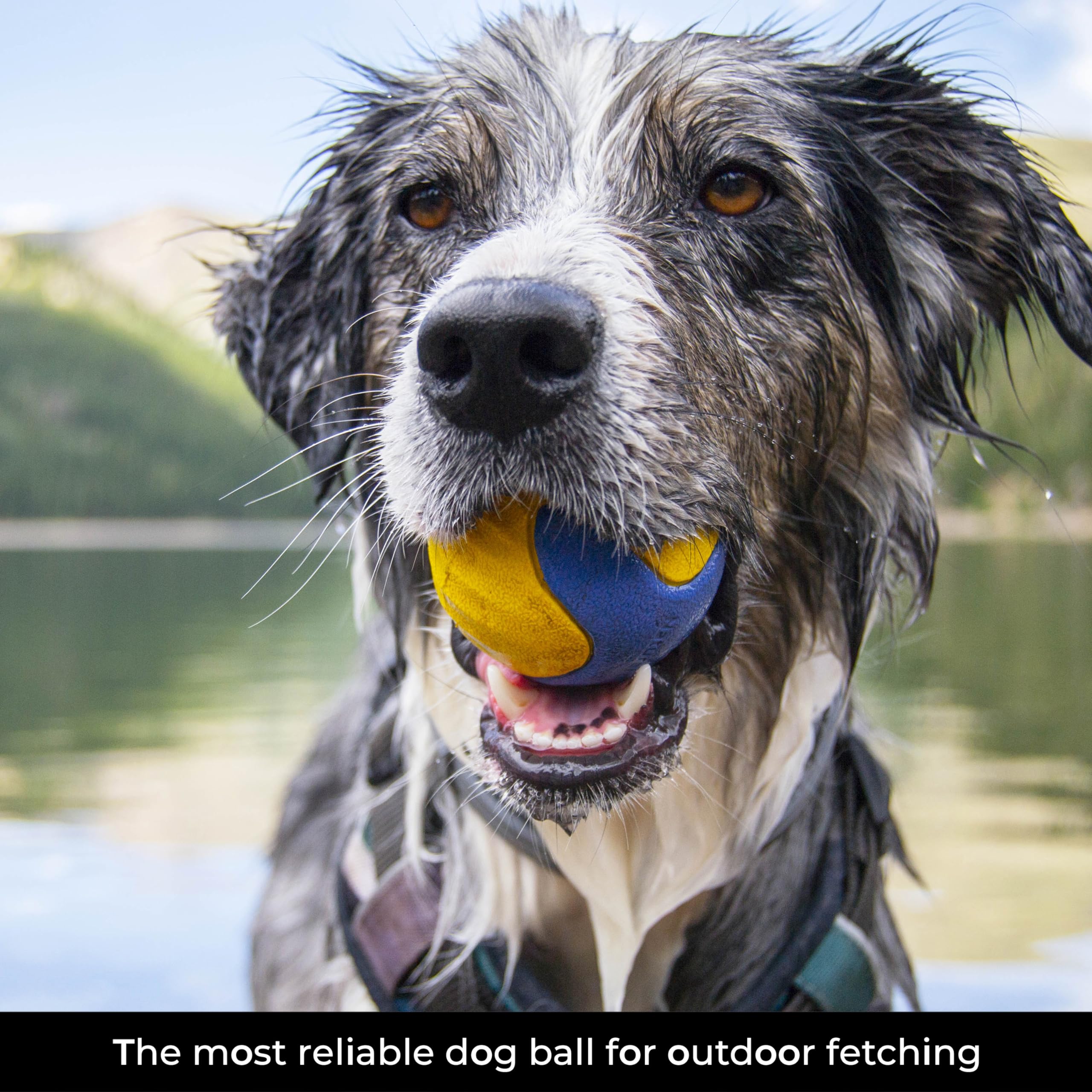 BULLTUG - Chew Ring & Fetch Ball Combo for Aggressive Chewers | Heavy-Duty, Ultra-Durable Natural Rubber, Tough Dog Toys for Medium to Large Breeds