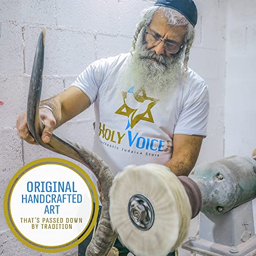 Kosher Kudu Shofar Horn from Israel – Traditional Half-Polished Yemeni Shofar Includes Carrying Bag, Brush and Blowing Guide - Holy Voice Easy Blowing Ancient Musical Instrument (24"-28")