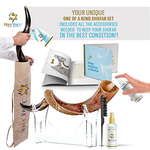 Kosher Kudu Shofar Horn from Israel – Traditional Half-Polished Yemeni Shofar Includes Carrying Bag, Brush and Blowing Guide - Holy Voice Easy Blowing Ancient Musical Instrument (24"-28")