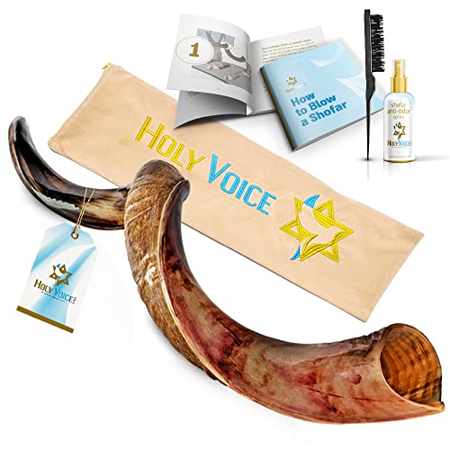 Kosher Kudu Shofar Horn from Israel – Traditional Half-Polished Yemeni Shofar Includes Carrying Bag, Brush and Blowing Guide - Holy Voice Easy Blowing Ancient Musical Instrument (24"-28")