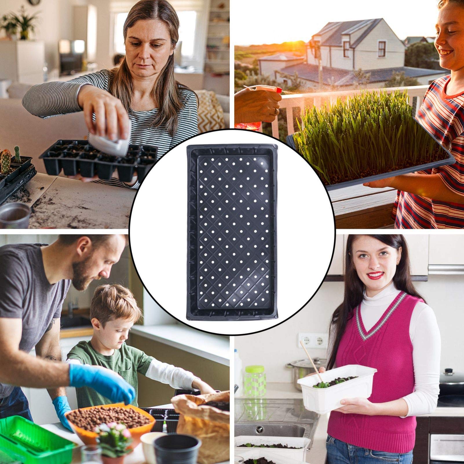 Cabilock 5Pcs Tray Plant Starter Tray Plastic Plants Garden Propagator Tray Plastic Propagation Tray Plastic Growing Tray Plastic Pallet Plastic Germination Tray Dome Sprout Plate