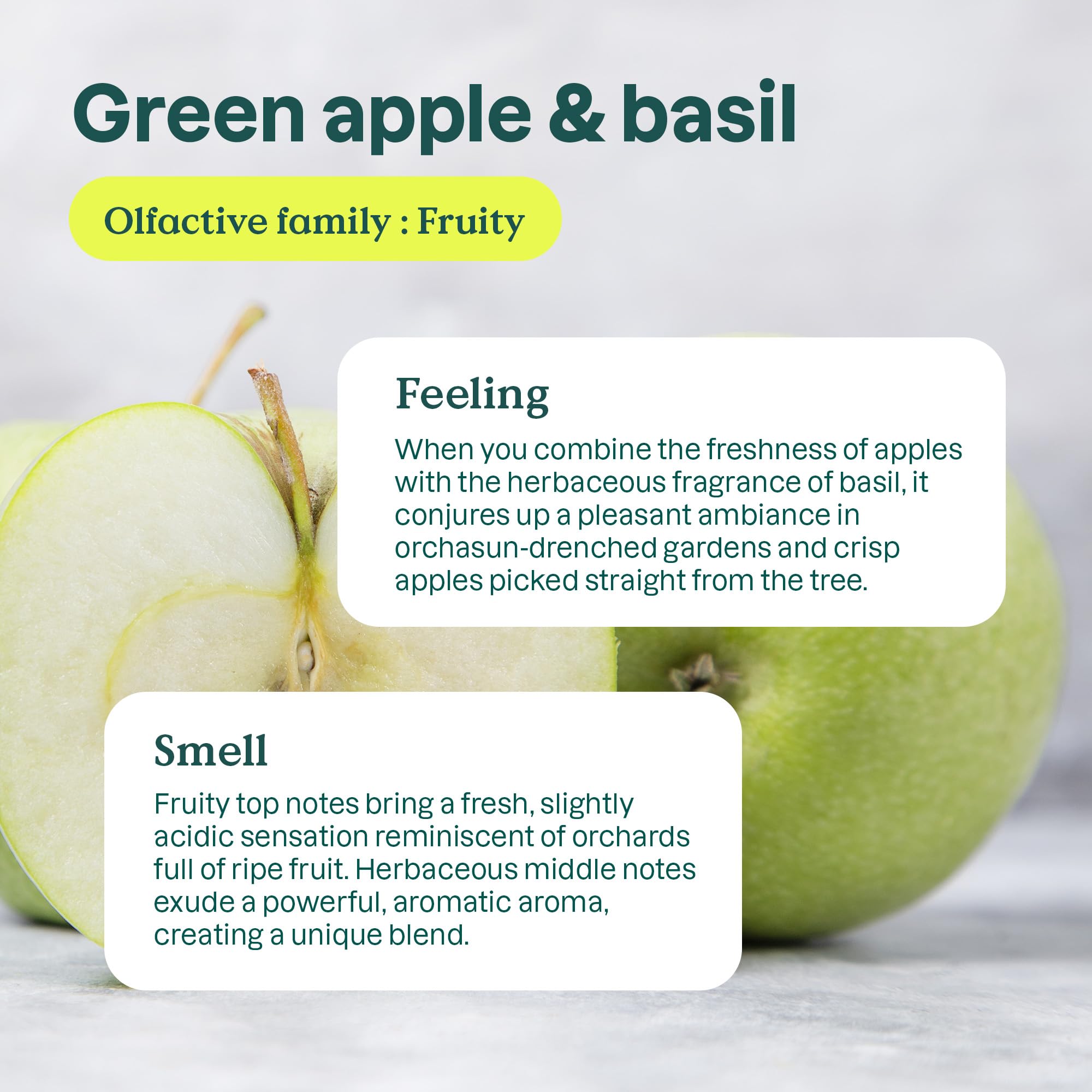 ATTITUDE Dishwashing Liquid, EWG Verified, Vegan Dish Soap, Plant Based, Naturally Derived Products, Green Apple and Basil, Bulk Refill, 67.6 Fl Oz