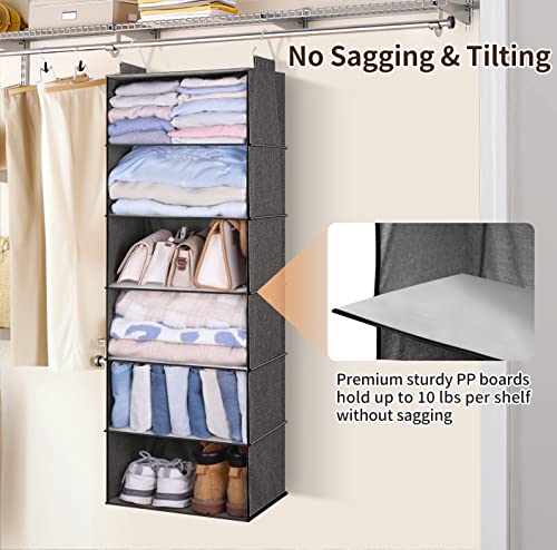 SLEEPING LAMB Long 2-Tier Shoe organizer for Closet and 6 Shelves Jumbo Hanging Closet Organizer and Storage