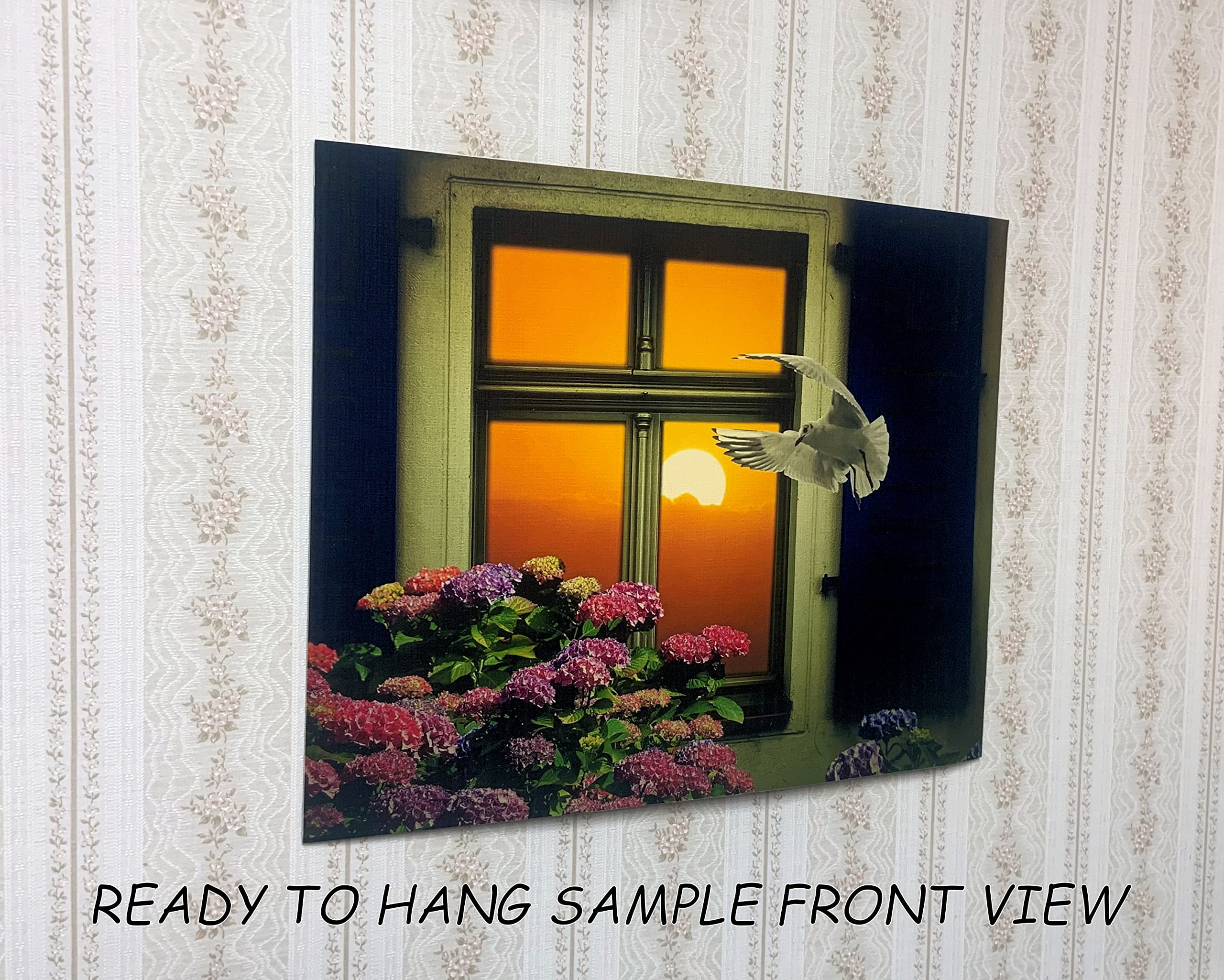 Cotton Field Blossom Ready for Harvest HD Print 11x14-8x10 Handmade in USA