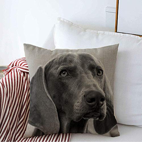 Decorative Throw Pillow Cover Case Themes Weimaraner Dog No Animals Pets Wildlife Black White Away One Canine Copy Space Plain Studio Linen Square Cushion Sham for Car Couch Bedroom 20 x 20 Inch