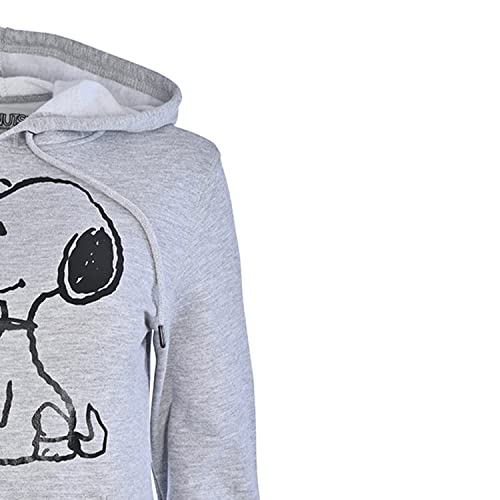 Peanuts Ladies Snoopy Fashion Hoodie - Ladies Classic Snoopy Fleece Sweatshirt Foil Sweatshirt (Heather Grey, 3X-Large)