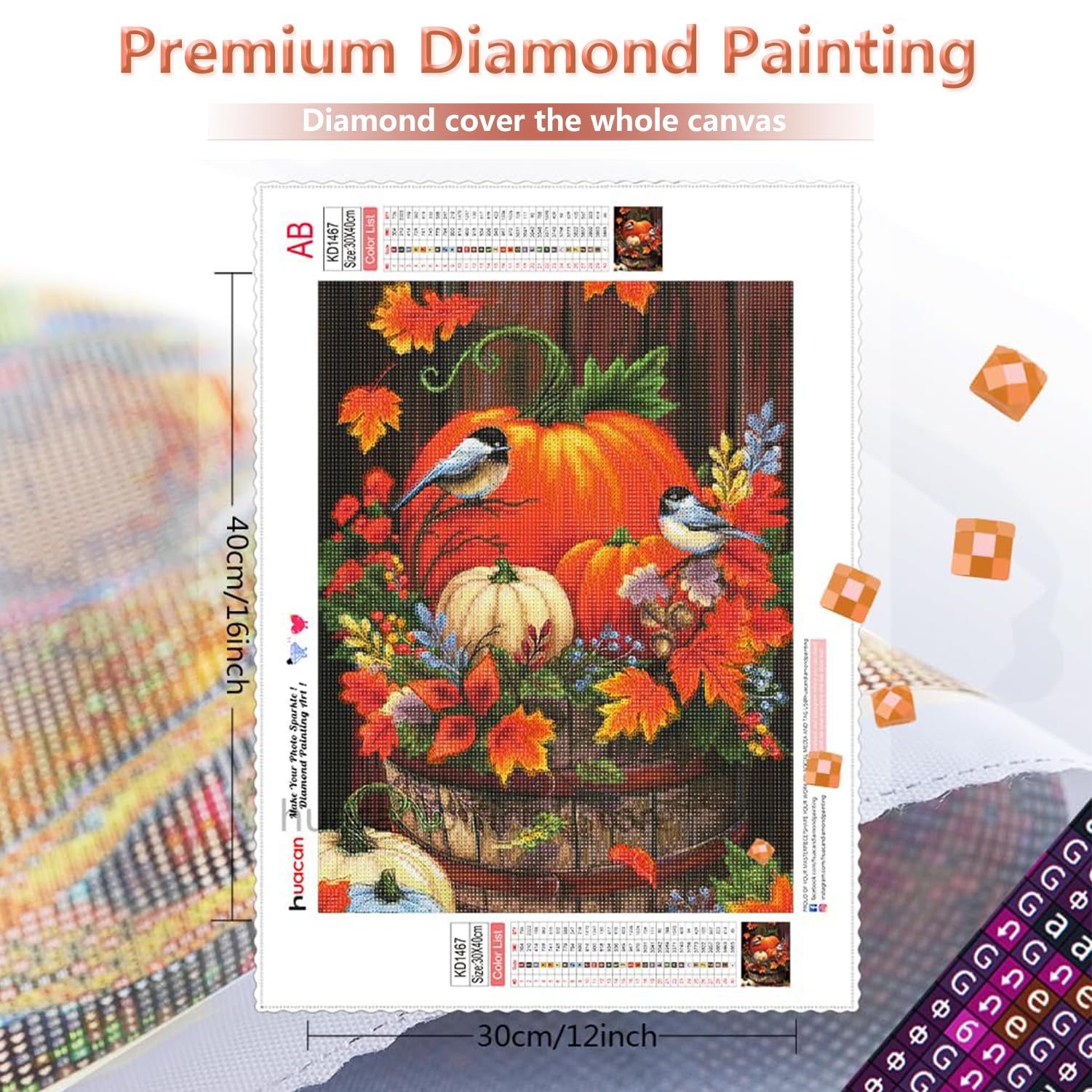 Huacan Diamond Painting Kits, Full Square Drill Diamond Painting Kits for Adults, Pumpkin Diamond Paint by Diamond, DIY 5D Diamond Art Kit for Beginner Home Wall Decor Fall Bird 11.8x15.7in/30x40cm