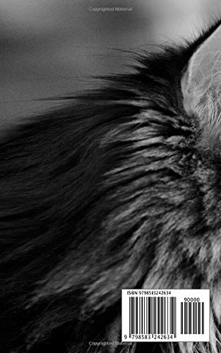 Address Book: Maine Coon Cat Address Book: Keep Addresses, Phone Numbers, Emails, Websites, and Birthdays!